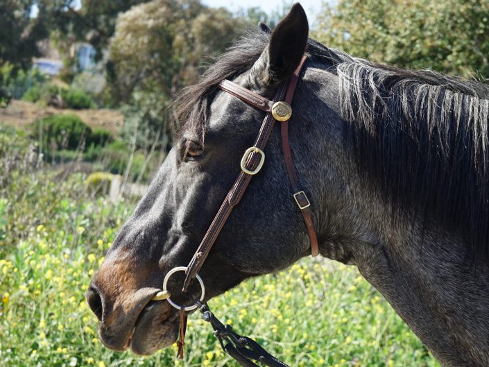 DHarp Studio Photography – THIS IS WHERE IT STARTS AND THIS IS WHERE IS ...