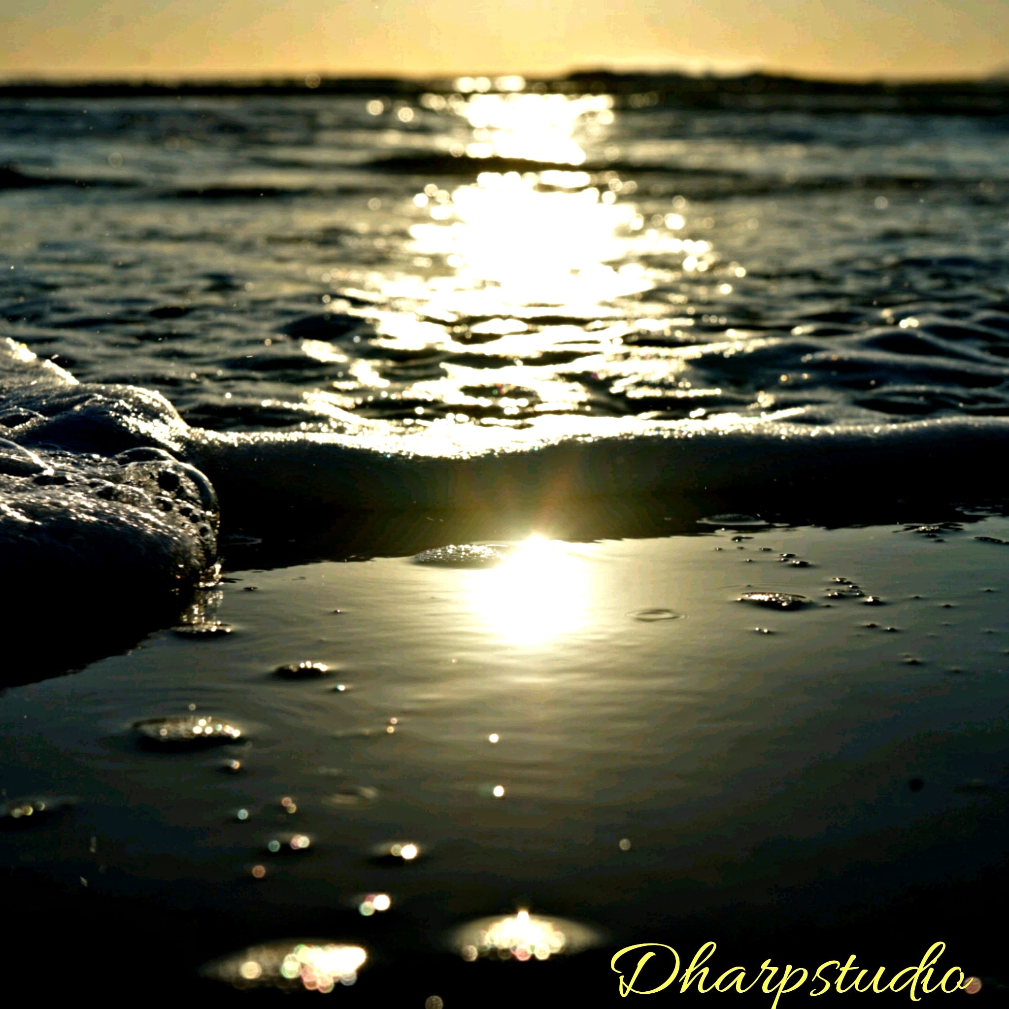 DHarp Studio Photography – THIS IS WHERE IT STARTS AND THIS IS WHERE IS ...