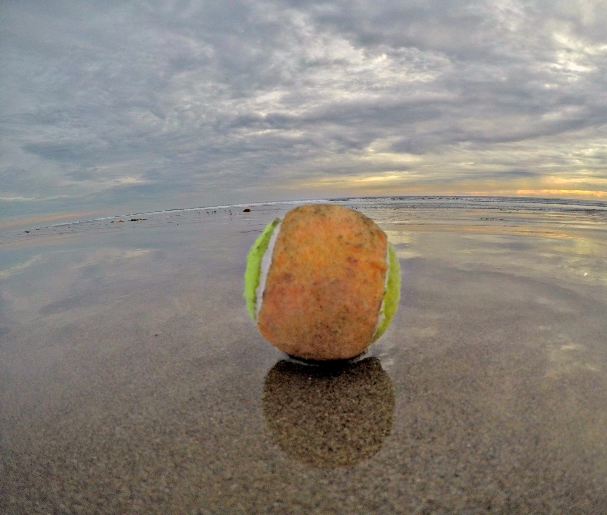 DHarp Studio Photography – THIS IS WHERE IT STARTS AND THIS IS WHERE IS ...