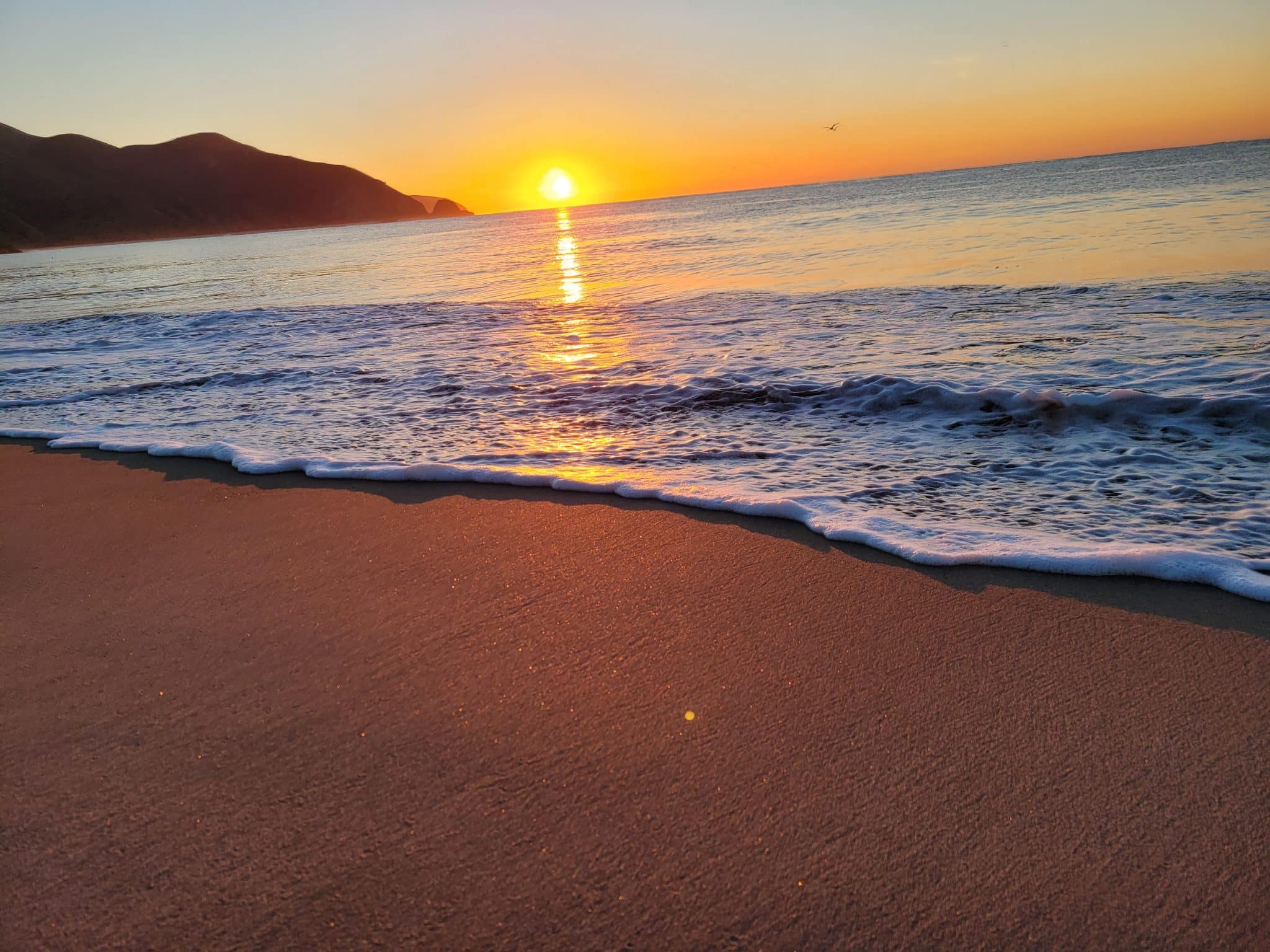 Home - DHarp Studio Photography